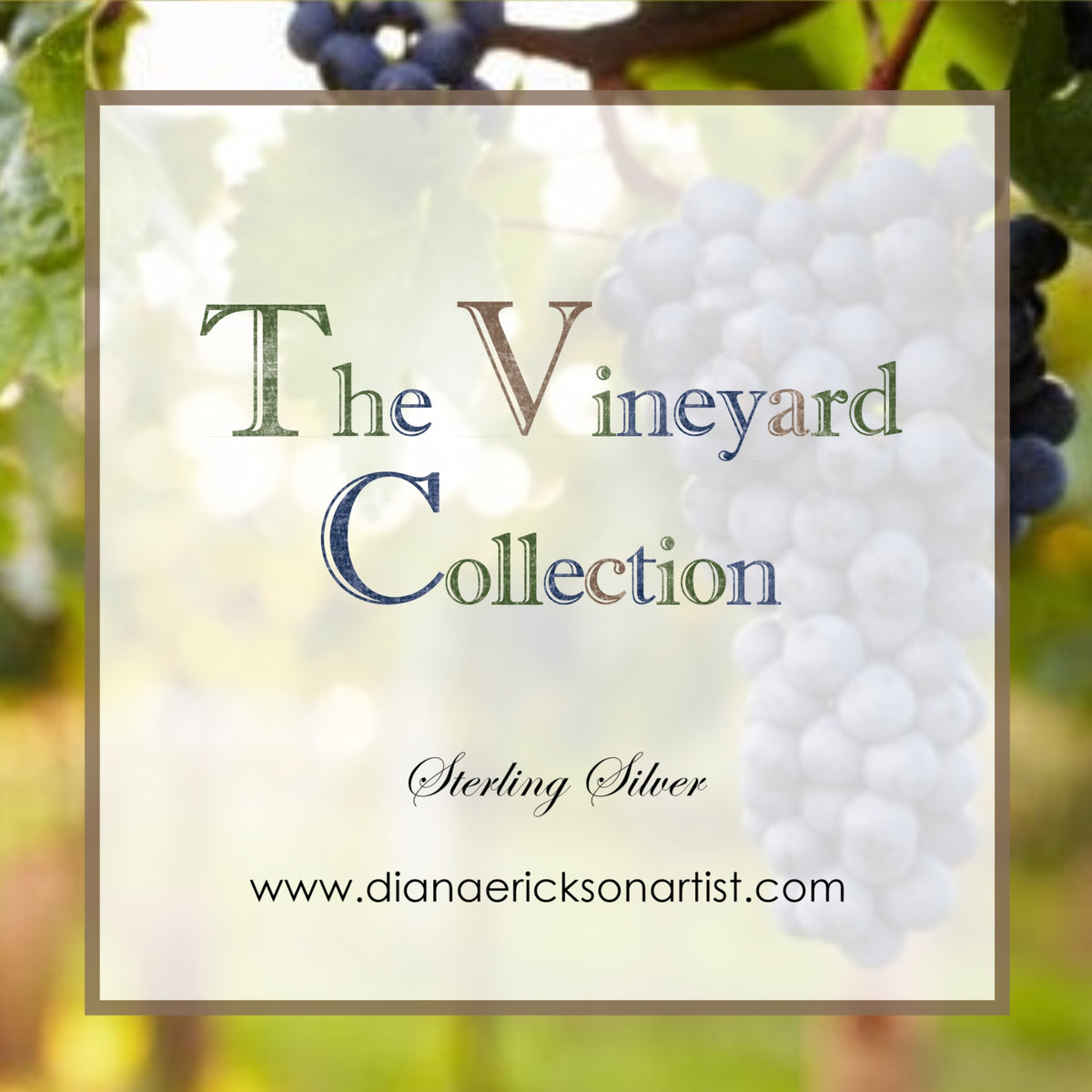 Vineyard Collection