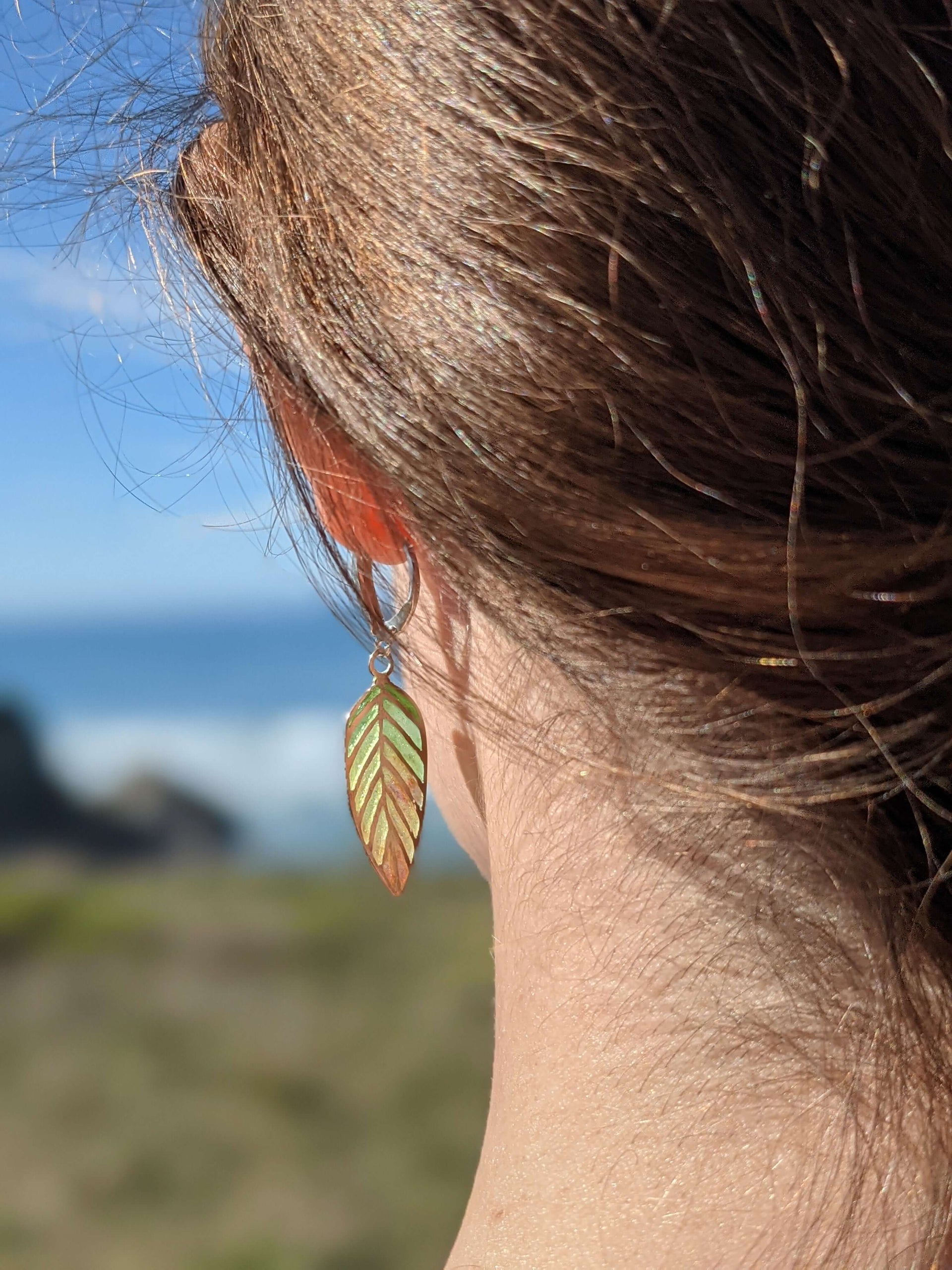 Diana Erickson, Artist